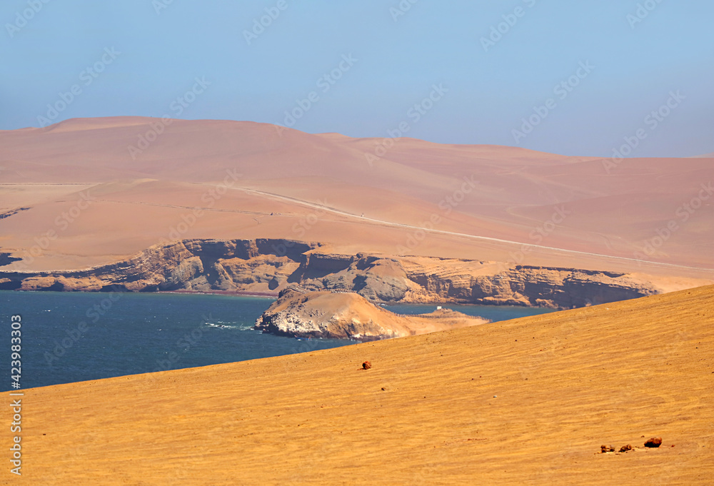 Panoramic View of Paracas National Reserve, Where the Desert Meets the ...