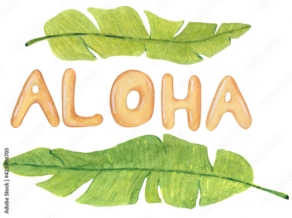 Aloha watercolor palm leaves. Tropic floral illustration in cartoon ...