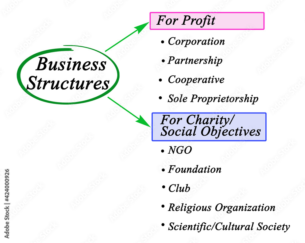 Profit and Non-profit Business Structures. Stock Illustration | Adobe Stock