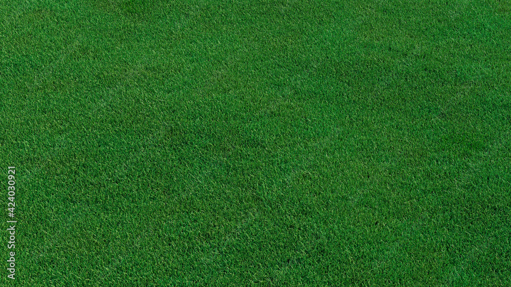 Green grass texture background. A perfectly manicured Sports field ...