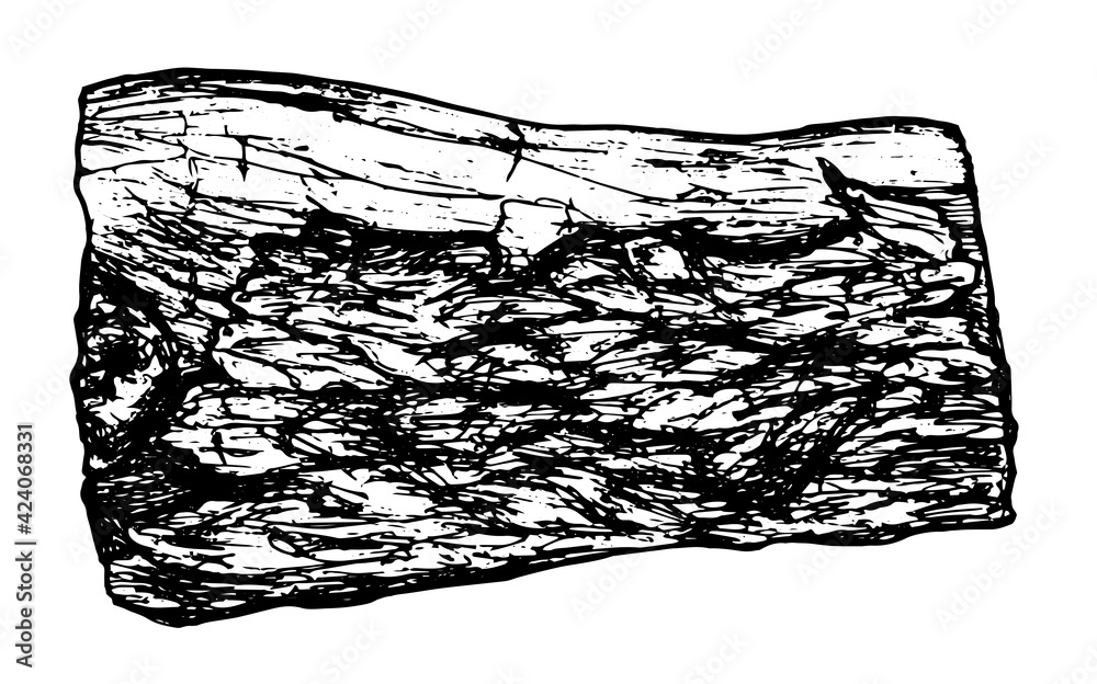 Sketch of a long sawn tree lying horizontally in a hand-drawn tree with ...