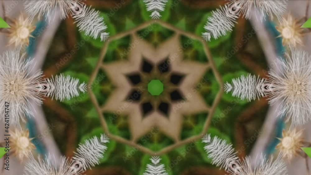 Motion graphic intro clip for grand opening ceremony. Program starting ...