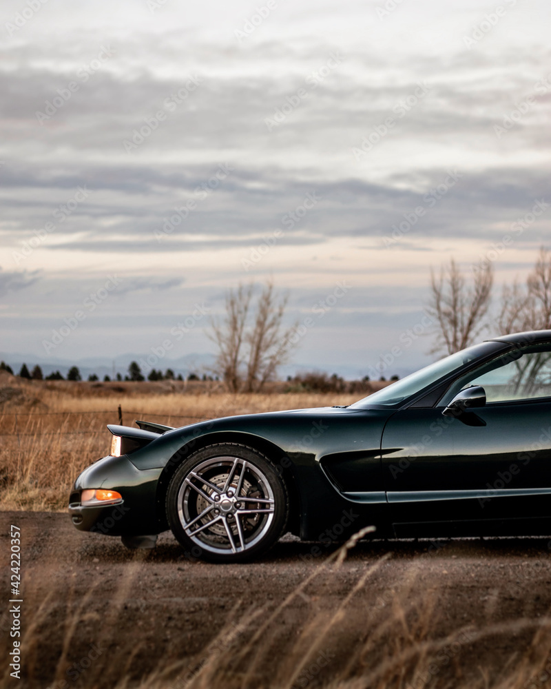 Foto de green sports car side profile in grassy landscape do Stock ...