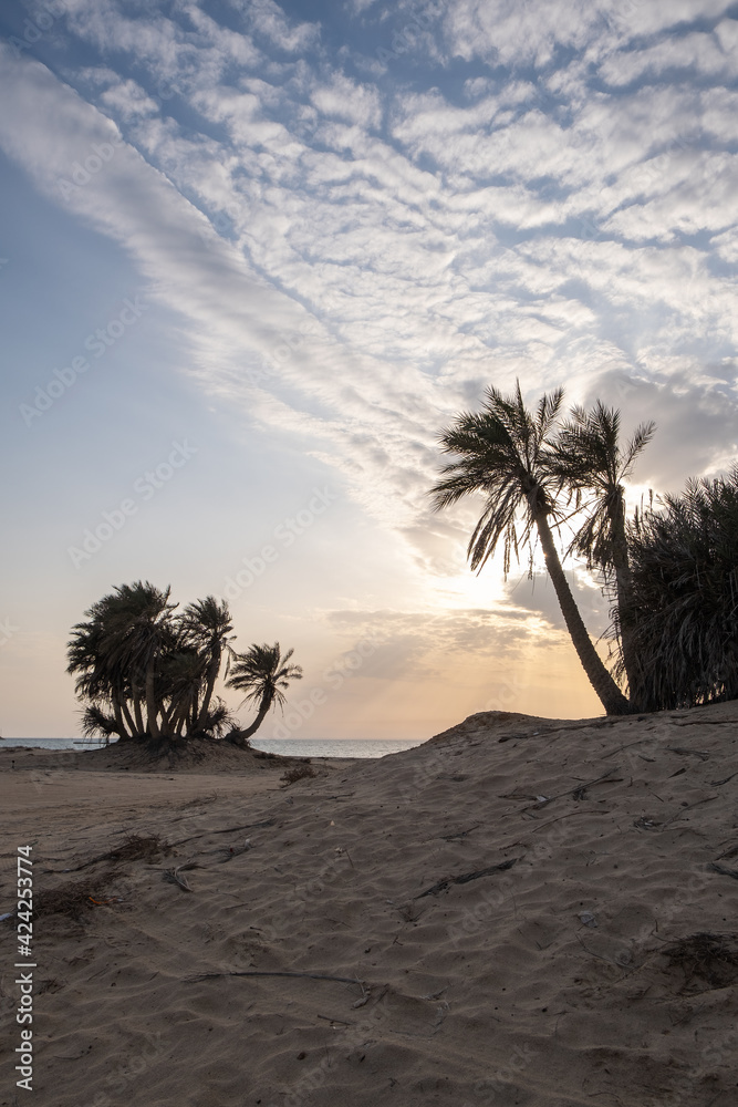 Umm Bab Beach in Al Shahaniya, Qatar. Also known as 'Palm Tree Beach ...