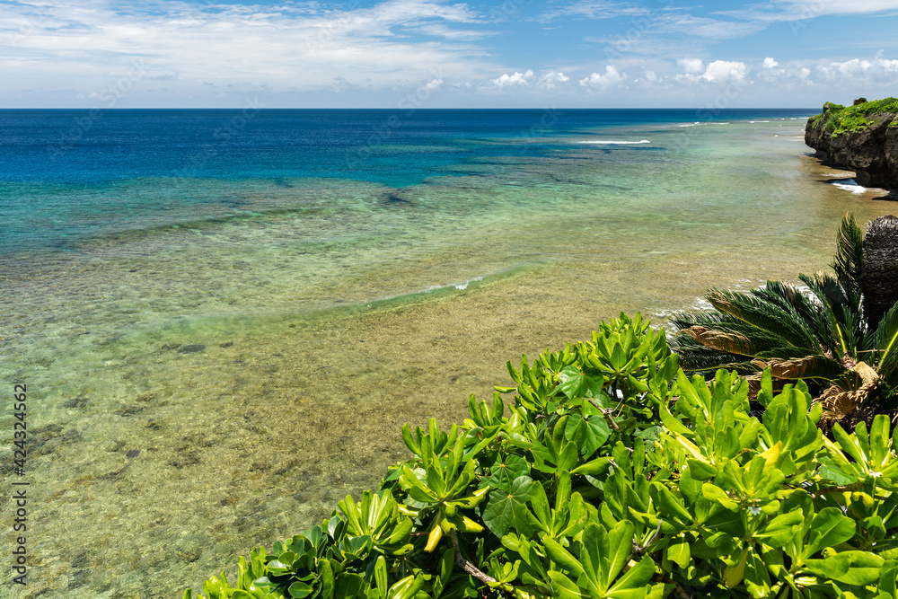 Impressive marine landscape of the coral reef appearing on the emerald ...
