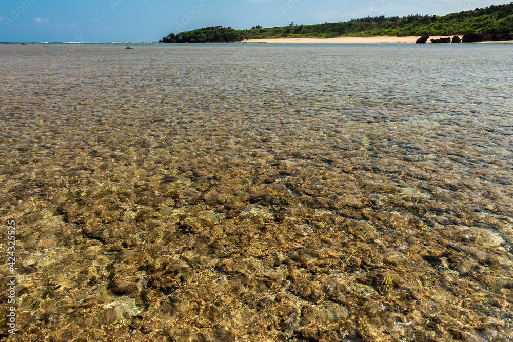 Typical low tide scene taken from the sea to the beach. Coral stones ...