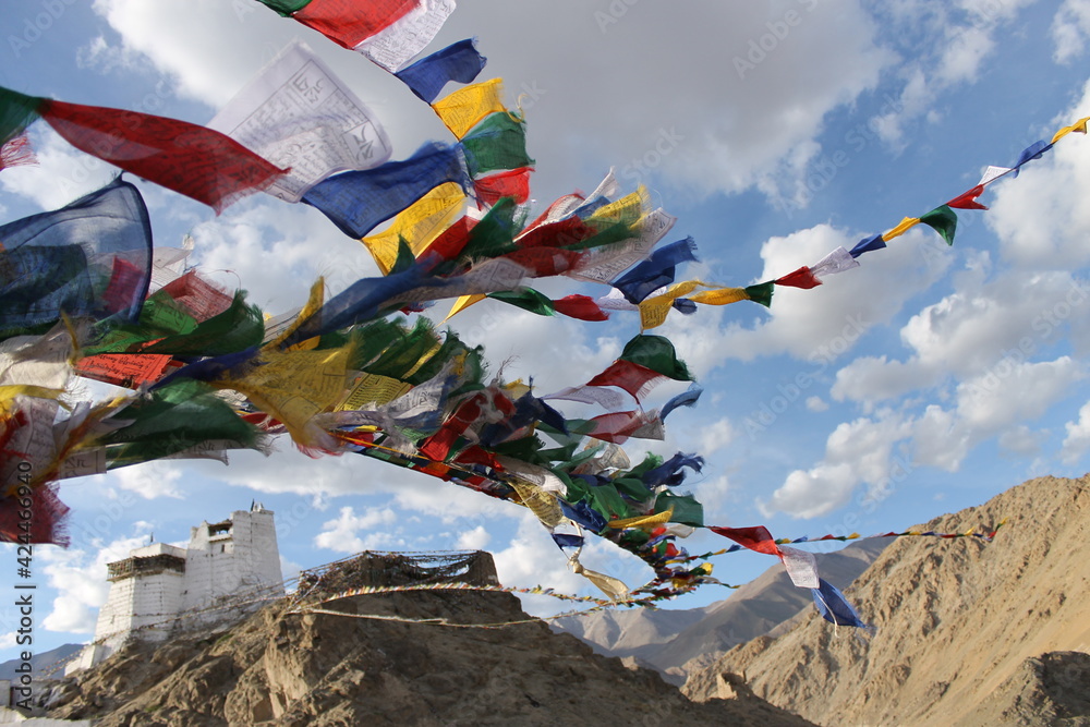 colorful buddhist praying flags flutter in the wind in india, himalayan ...