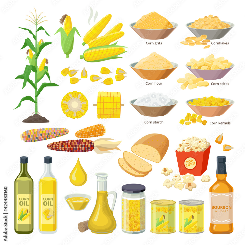 Corn food, set of maize meal, corn oil, corn stickes, cornflakes, pop ...
