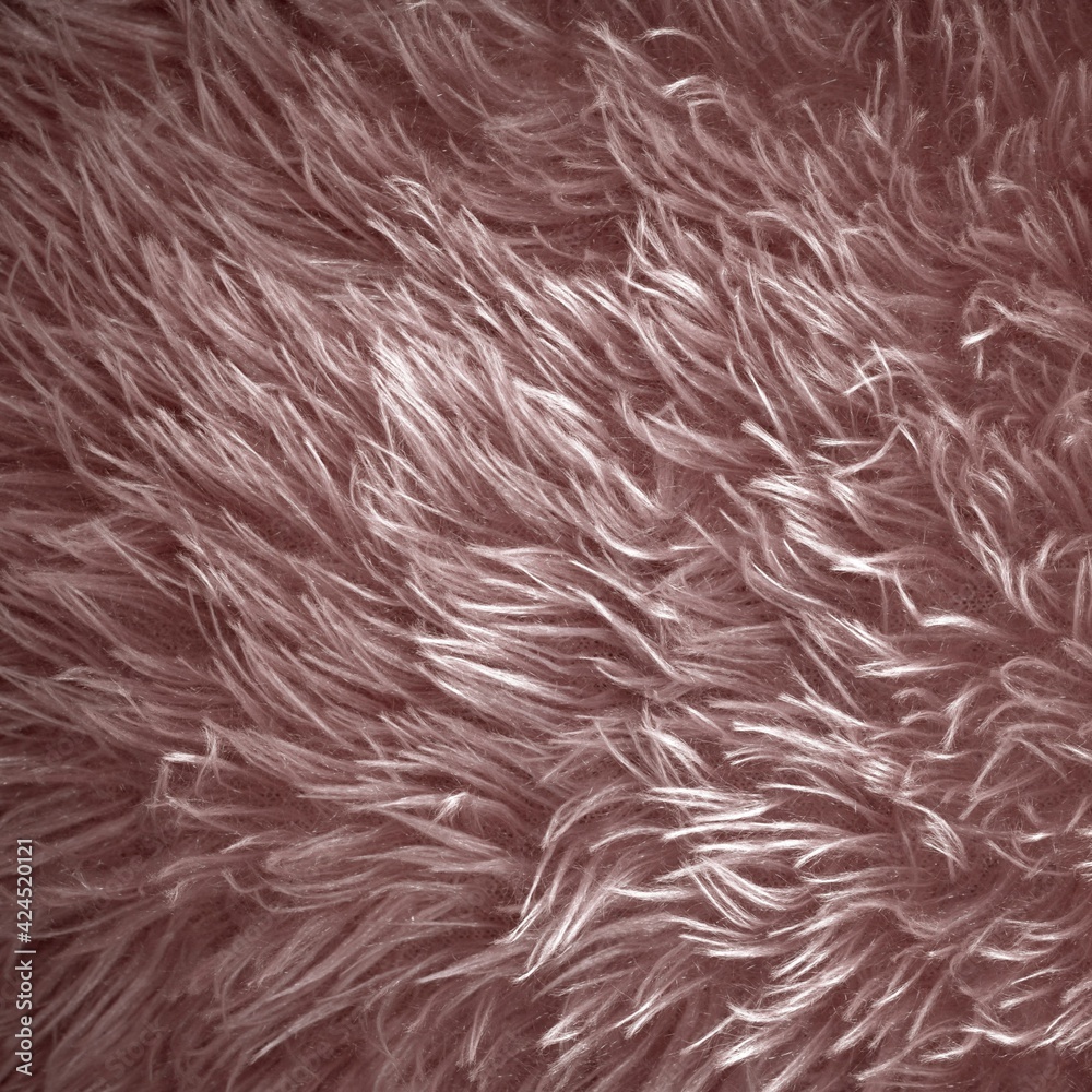 Azure red furry texture backdrop close up. Texture of wool skin ...