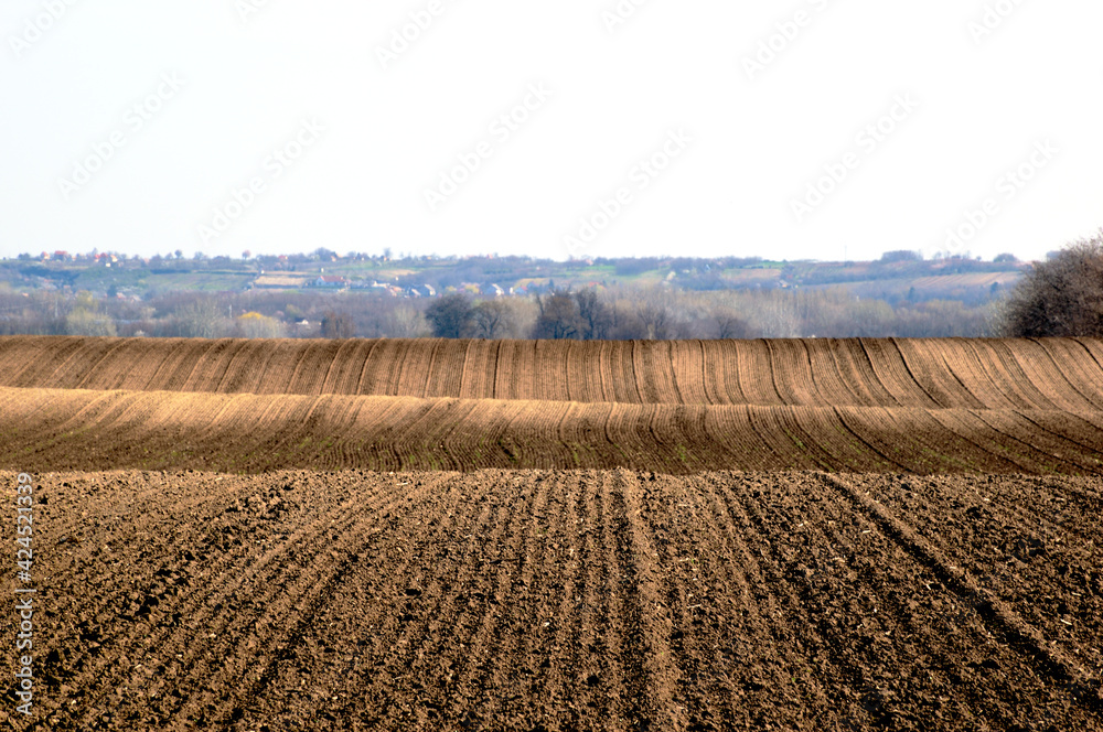 Freshly ploughed and sowed light brown farm land with undulating hills ...