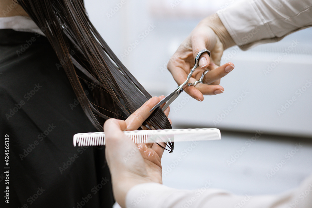 the process of cutting long hair of a young brunette woman with ...