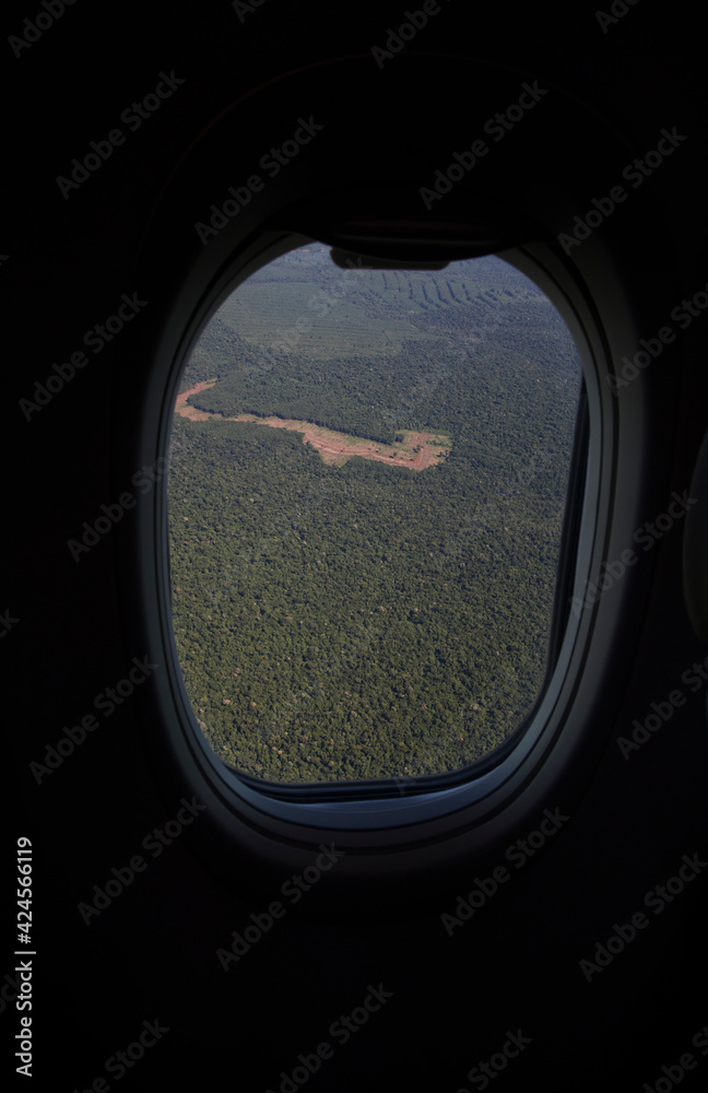 Travel and transportation. View of the Amazon jungle form inside the ...