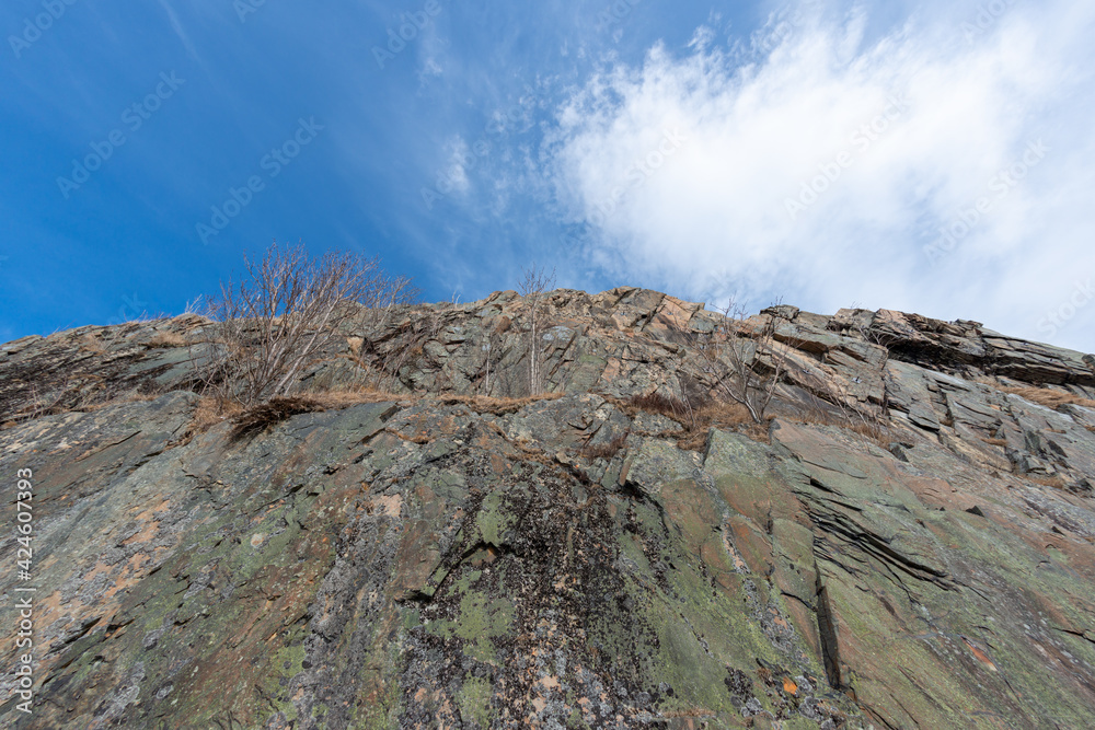 A grey flat rock front facing cliff. There is moss and yellow lichen on ...