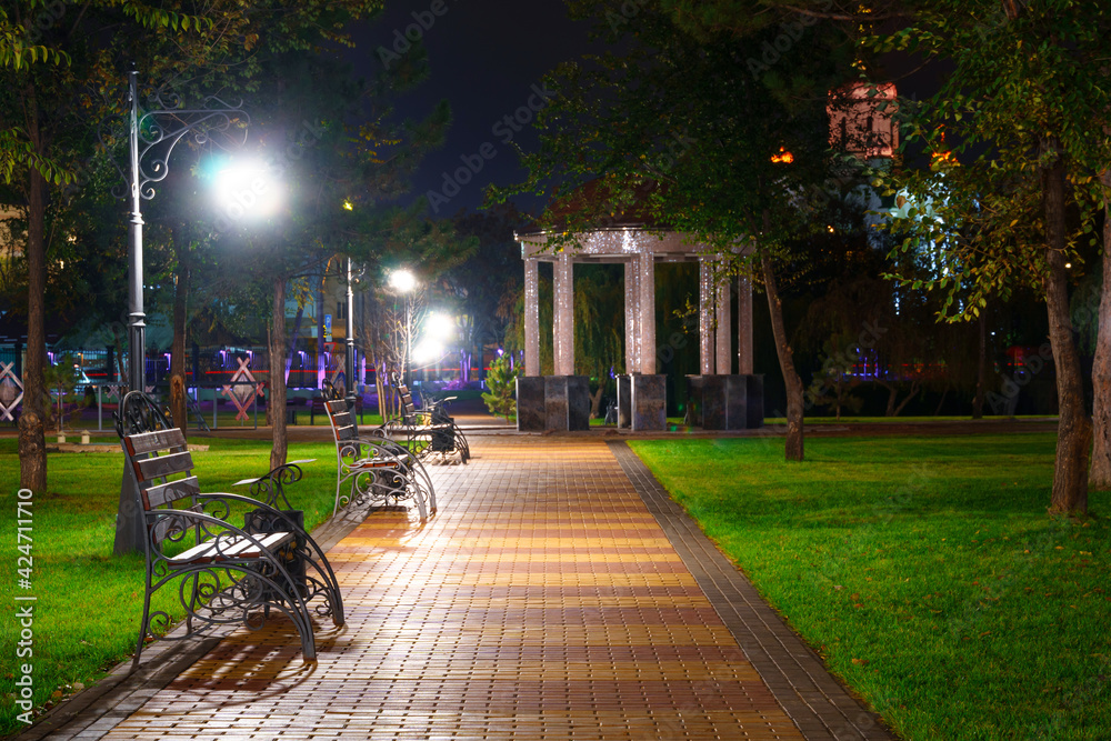 autumn city park at night, trees with yellow leaves, street lights and ...
