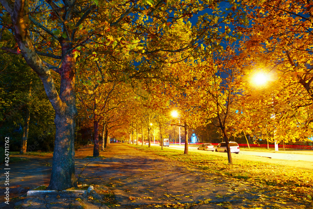 autumn city at night, maple trees alley with yellow leaves, street ...