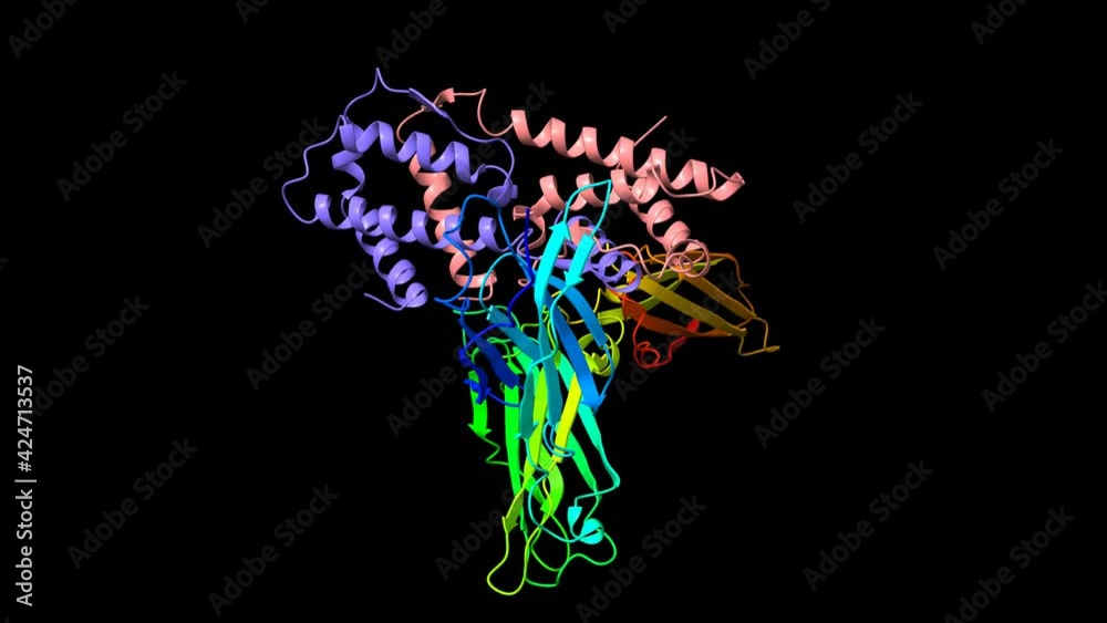 Structure of human Interleukin-5 homodimer in complex with its alpha ...