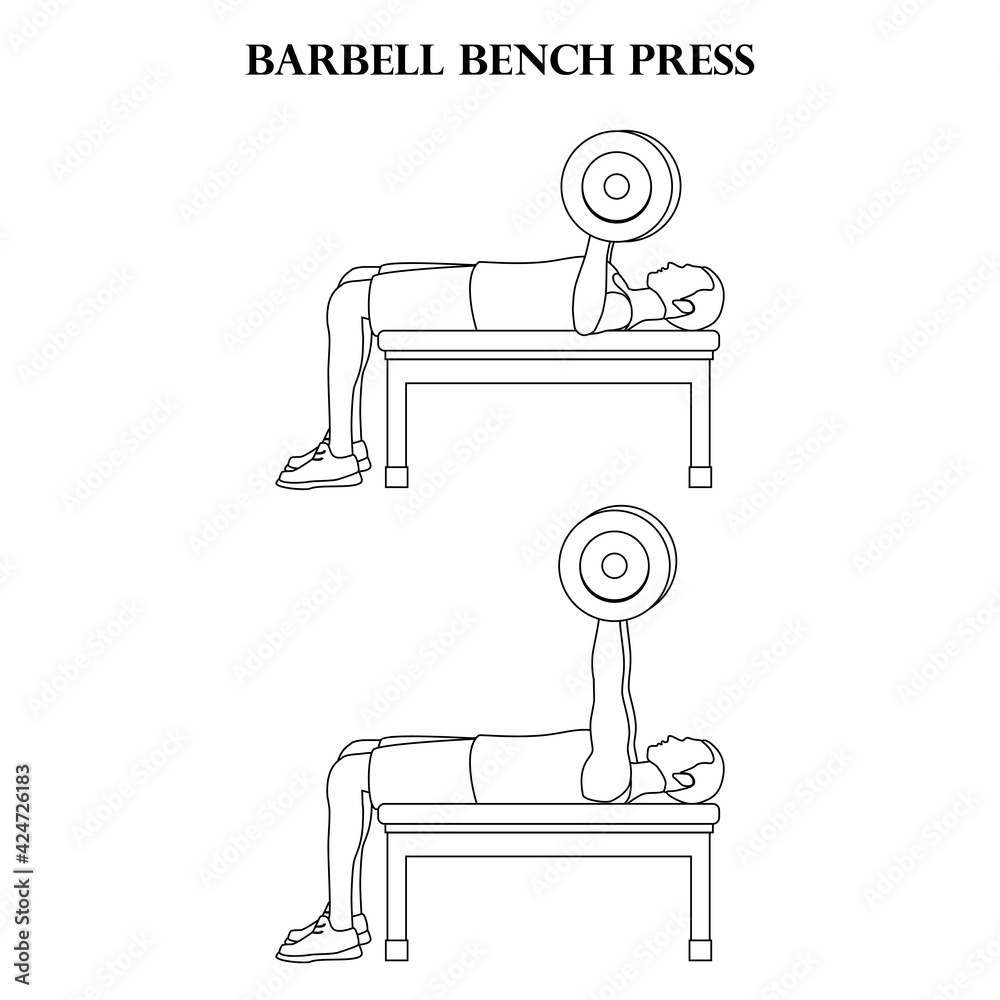 Barbell bench press exercise strength workout vector illustration ...