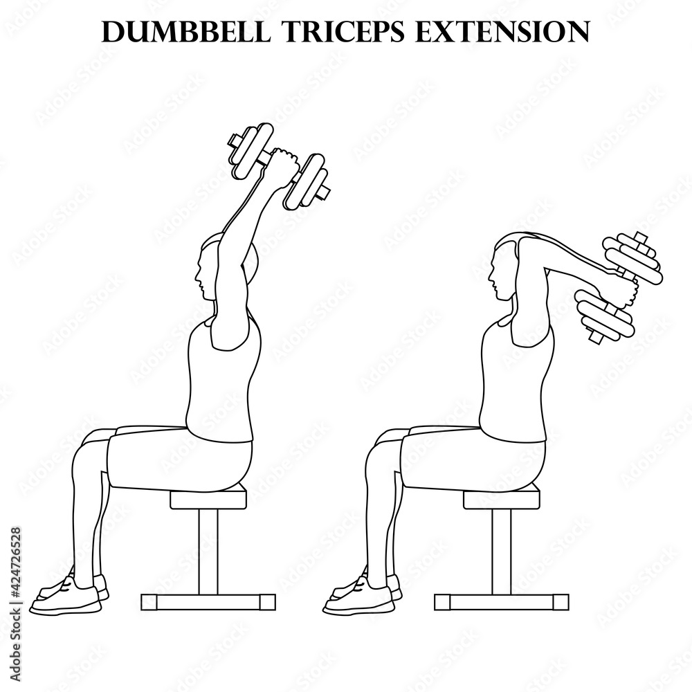 Dumbbell triceps extension exercise strength workout vector ...