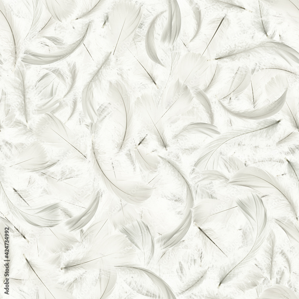 Feather seamless. Pastel angel feather closeup texture falling on white ...