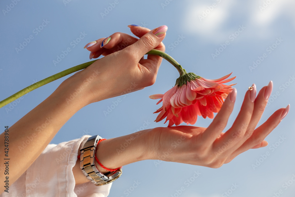 Beautiful female hands with a flower. Symbol of female beauty Stock ...