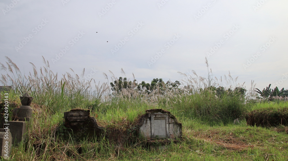 Chinese culture traditional concrete tombs with Chinese memorial name ...
