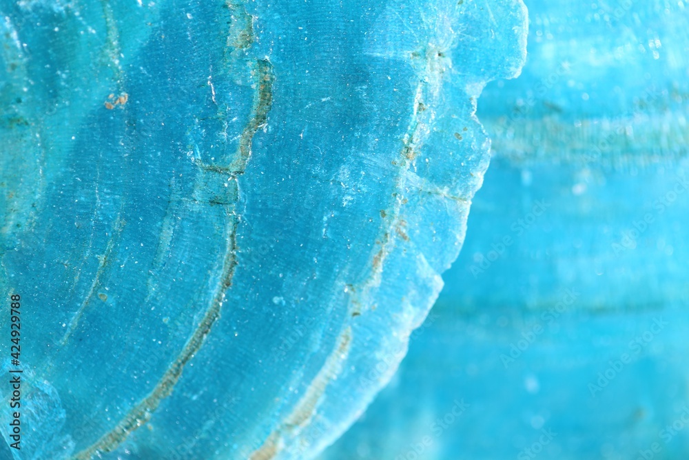 mother of pearl shell blue background.texture of the mother of pearl ...
