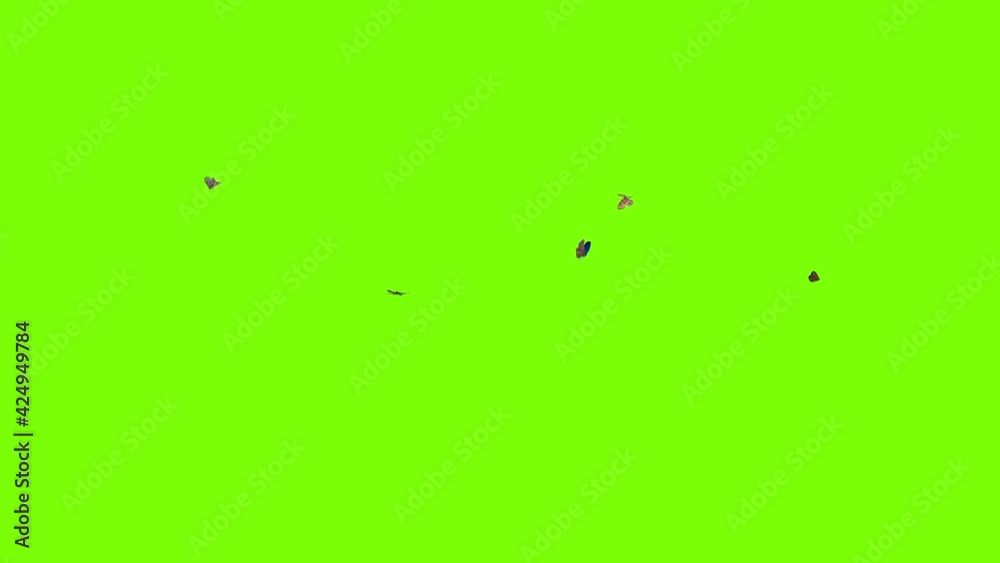 A group of beautiful butterflies flying around freely, 3D rendered ...