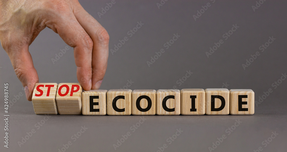 Stop ecocide symbol. Businessman turns wooden cubes and changes words ...