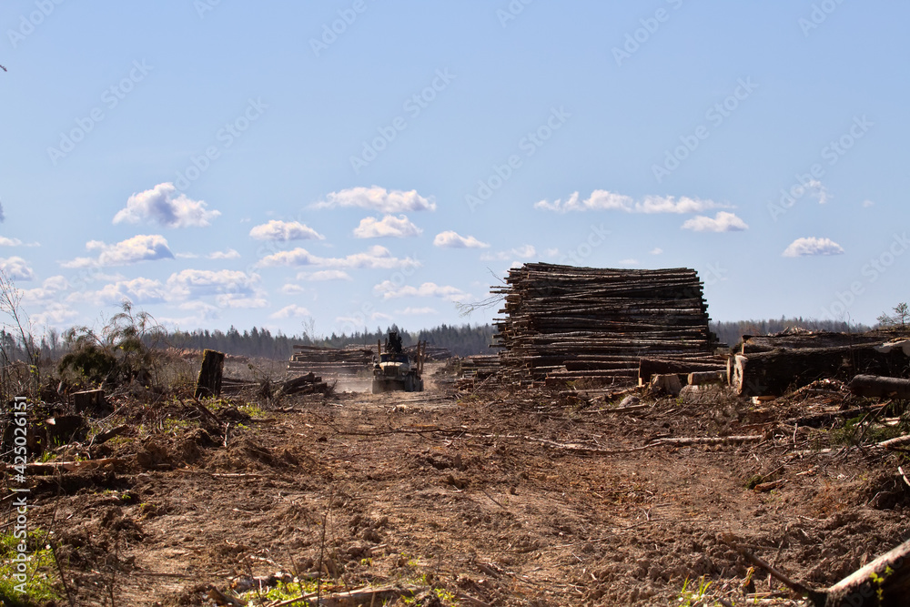 Forest industry. Operations for loading-unloading logging truck at ...