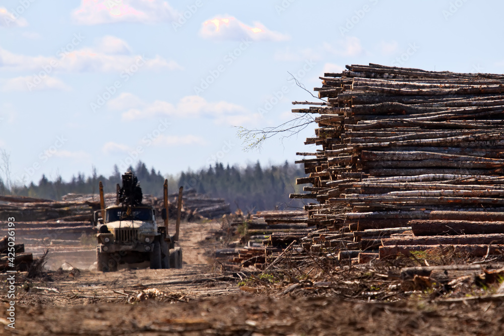 Forest industry. Operations for loading-unloading logging truck at ...