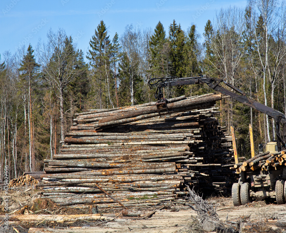 Forest industry. Operations for loading-unloading logging truck at ...