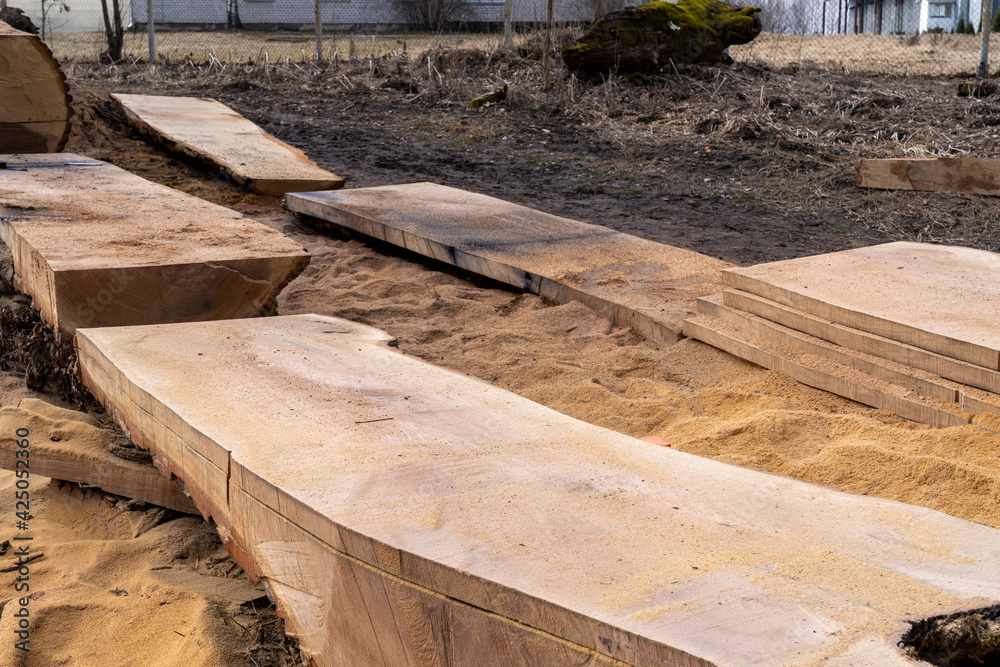 oak log prepared for board sawing to perform board sawing with a mobile ...