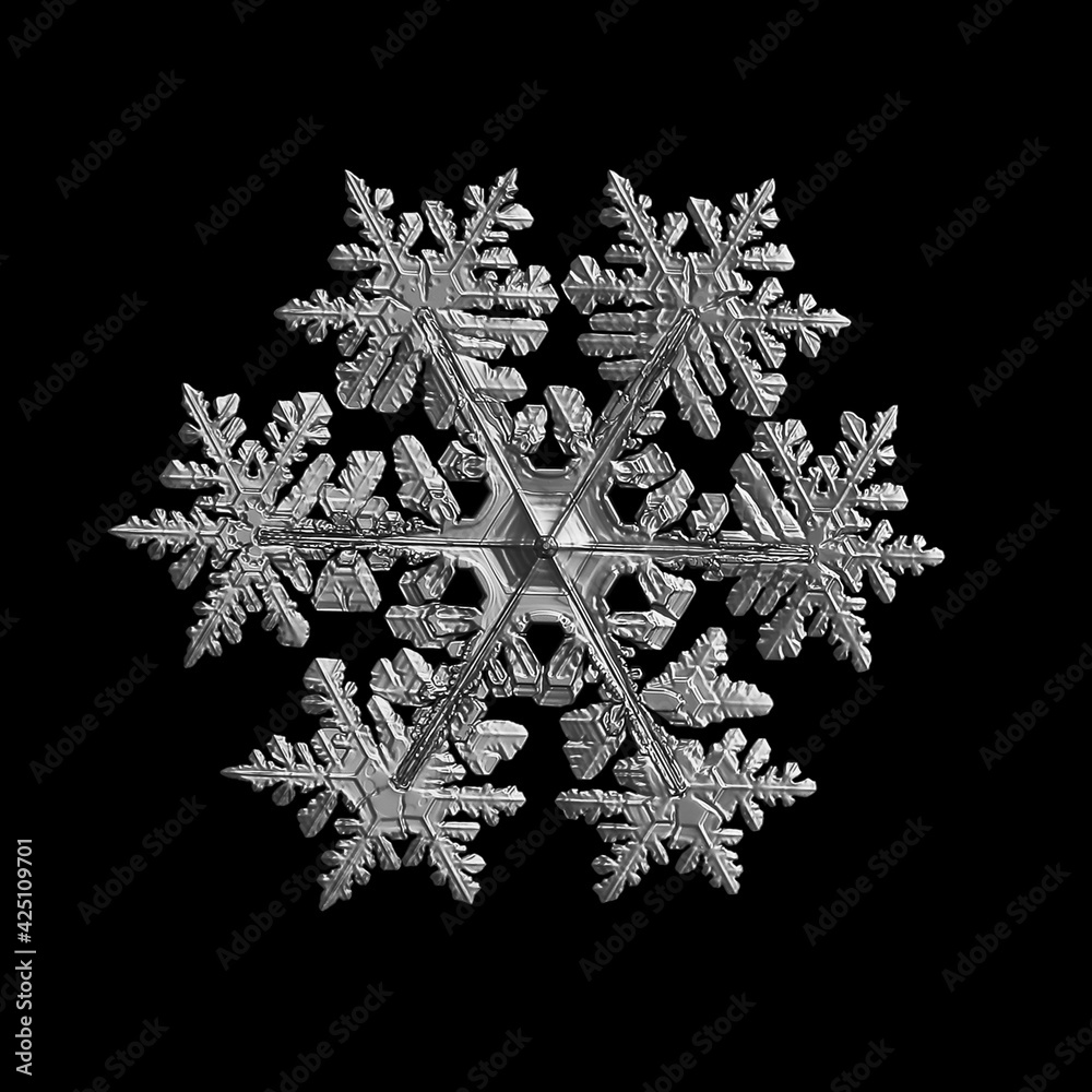 Snowflake isolated on black background. Macro photo of real snow ...