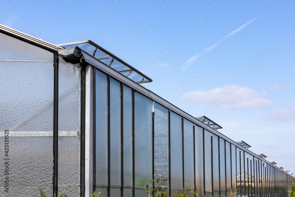 open window of a greenhouse, glasshouse to grow plants Stock Photo ...