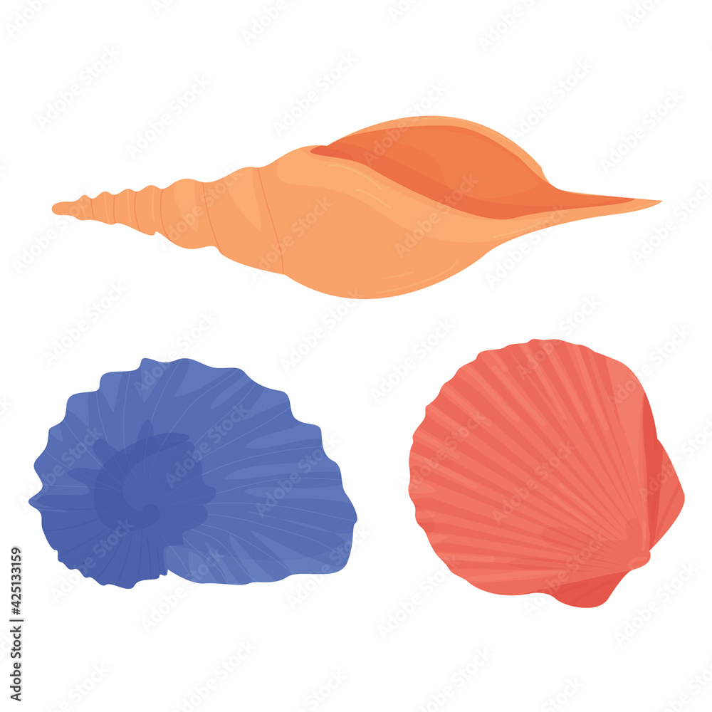 Phylum Mollusca Gastropods Bivalves Cephalopods