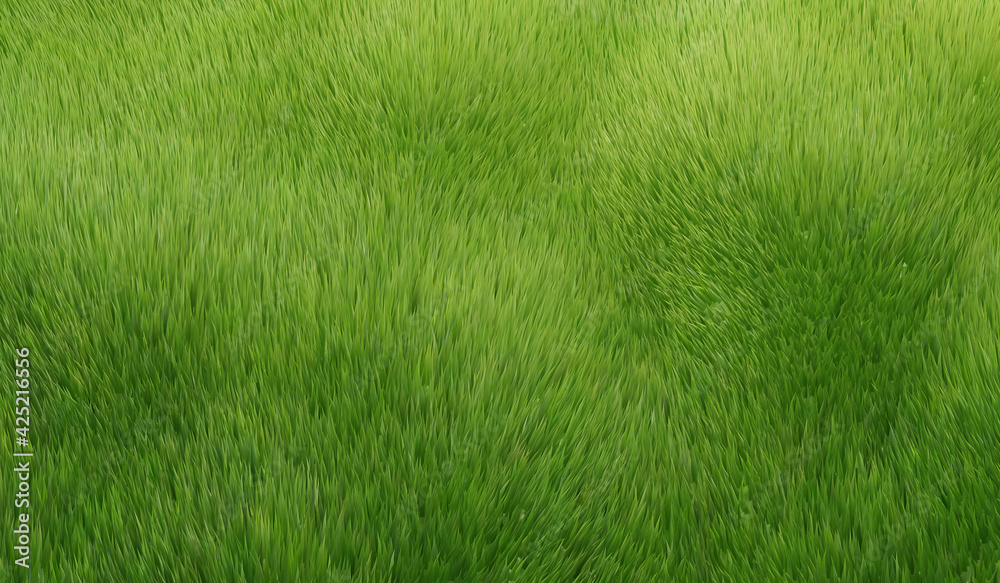 Grass background. Fresh lawn grass texture. Perfect green grass carpet ...