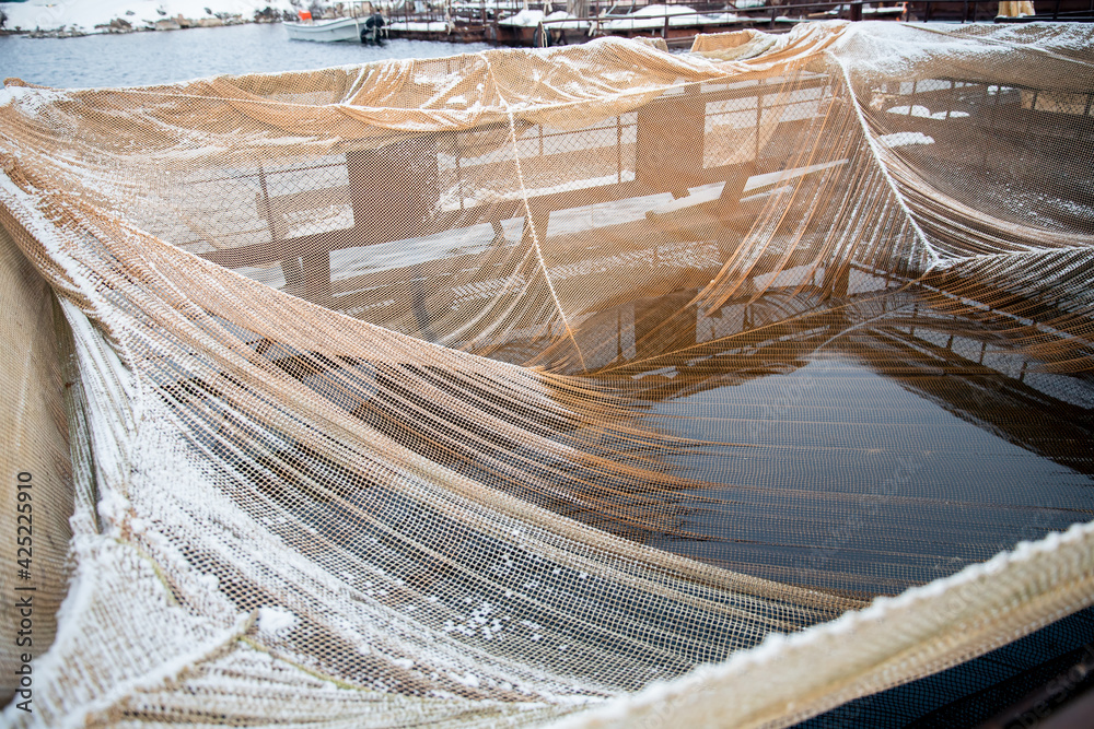 Fish farm for breeding for rainbow trout and salmon fry in net cages ...