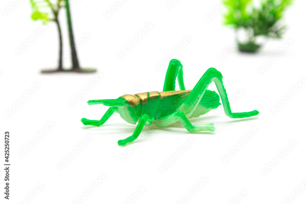 isolated photos of a set of plastic toy insects grasshopper Stock Photo ...