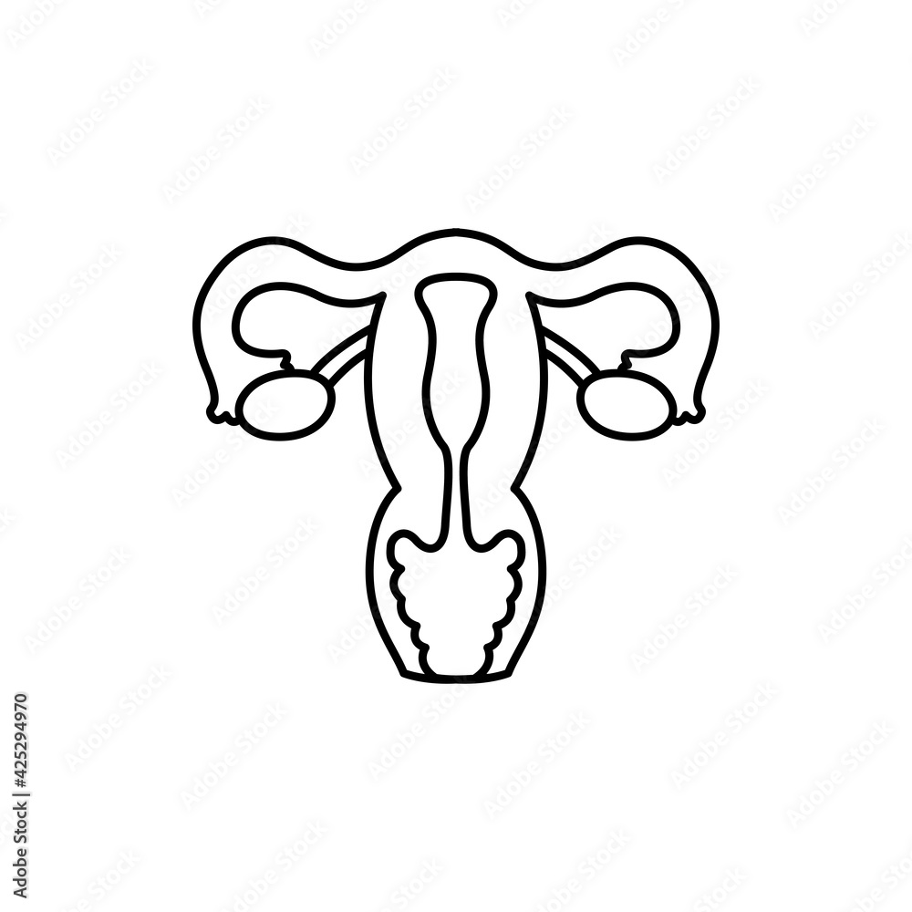 Human organ uterus color line icon. Pictogram for web page, mobile app ...