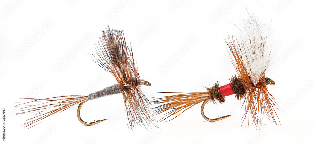 The Adams and Royal Wullf; Most Famous and Productive Fly-Fishing Flies ...