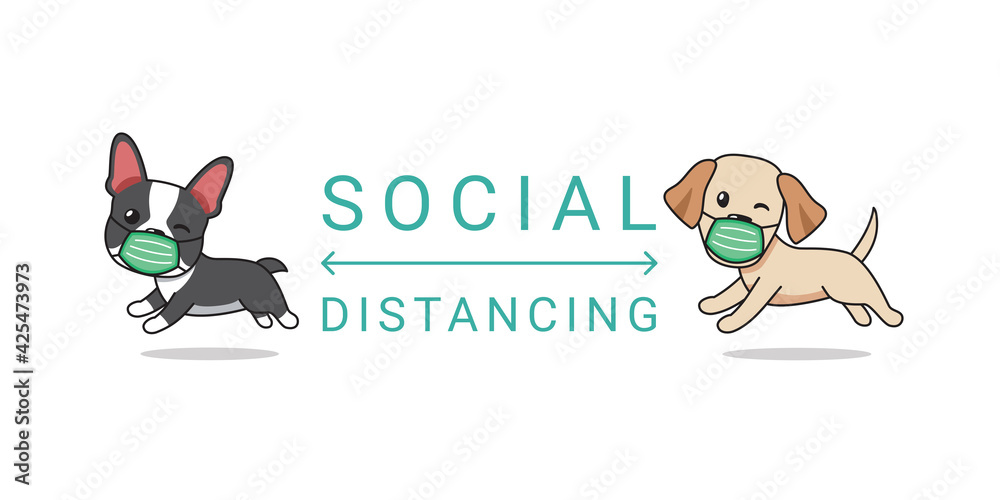 Covid-19 protection concept cartoon character boston terrier and ...