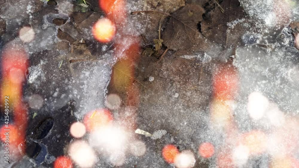 fire and Ice. these leaves in ice. Abstract logo reveal with fire and ...