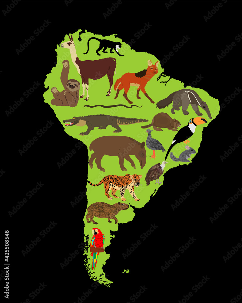 Continent map Southern America vector illustration with wild animals ...
