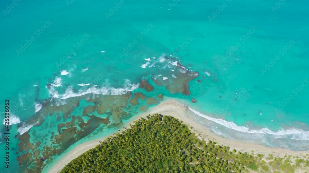 Coral reef and palm beach background. The best beaches in the world ...