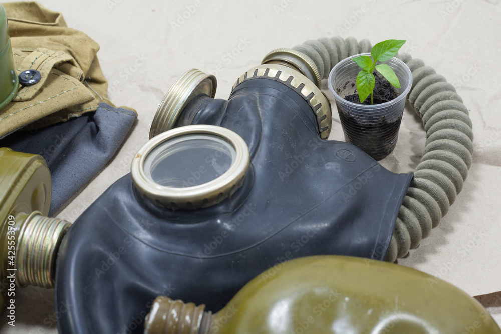 Green sprout and non-combat mask. Concept safety bacteriological ...