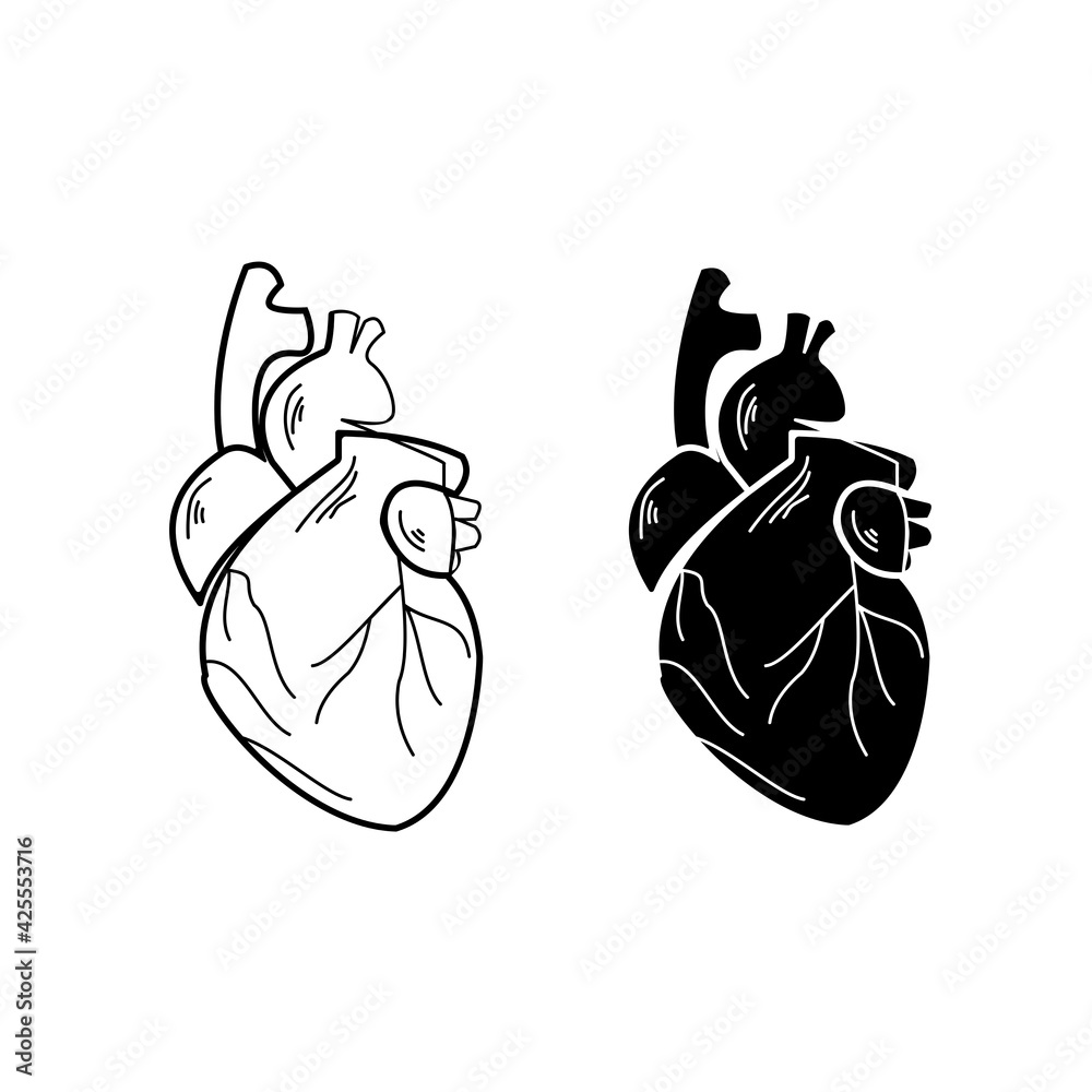 schematic representation of the human heart, outline and silhouette of ...