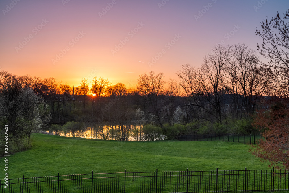 Spring Sunset Over a Pond Surrounded by White and Red Spring Flower ...