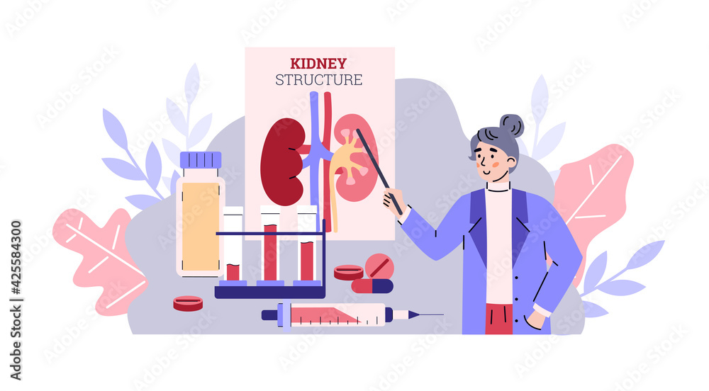 Doctor explaining about kidney organ structure, cartoon vector ...