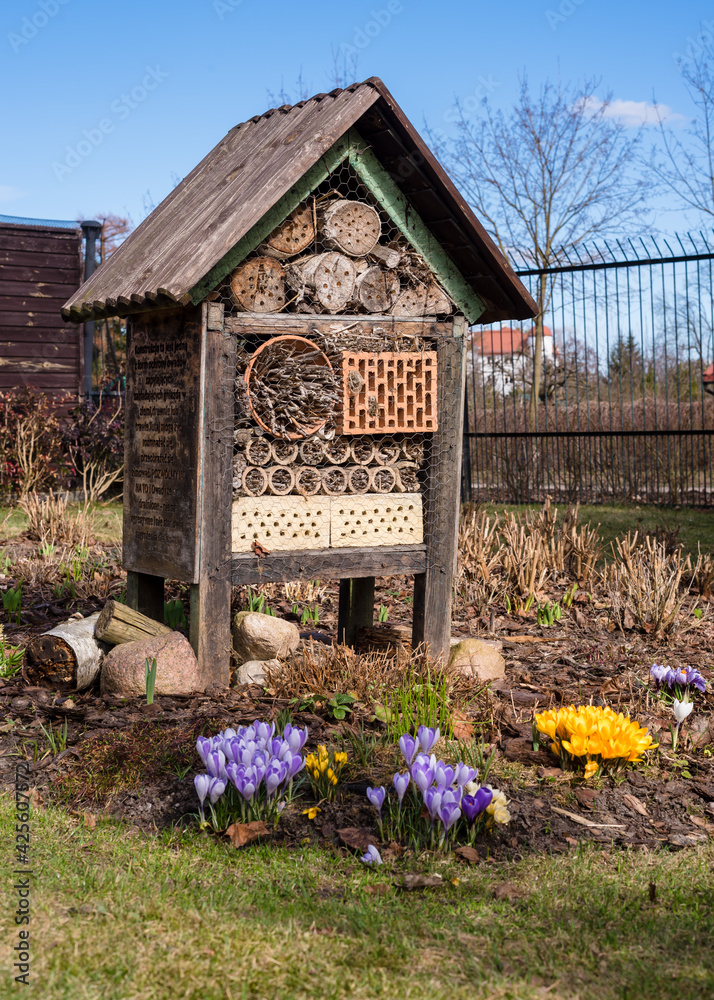 Ecological insect farm, beautiful flower bed with crocuses and young ...