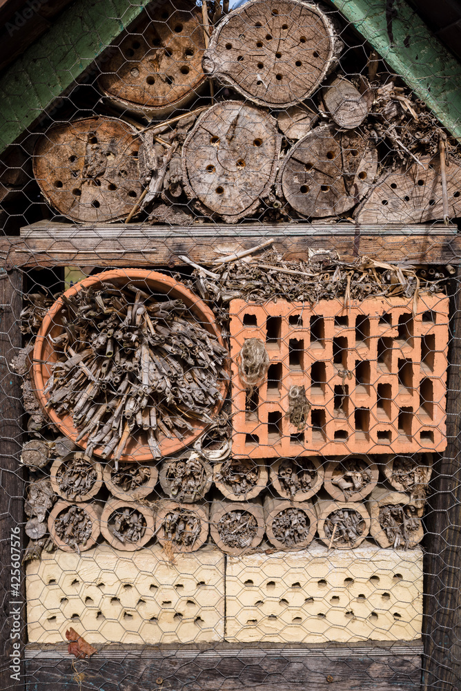Ecological insect farm, beautiful flower bed with crocuses and young ...